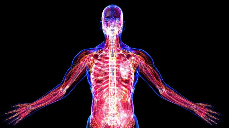 Health Science - Background Graphic Animation HD Loop Stock Video ...