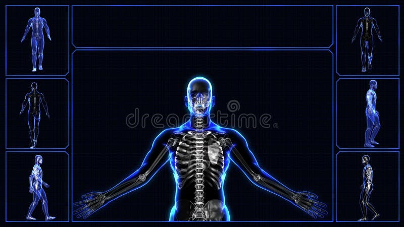 All human body systems stock video. Video of blood, person - 39224265