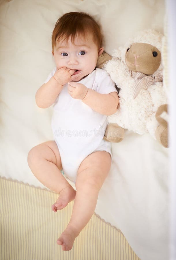 All I Need is My Best Friend Teddy. High Angle Shot of an Adorable Baby ... All I Need is My Best Friend Teddy. High Angle Shot of an Adorable Baby ...