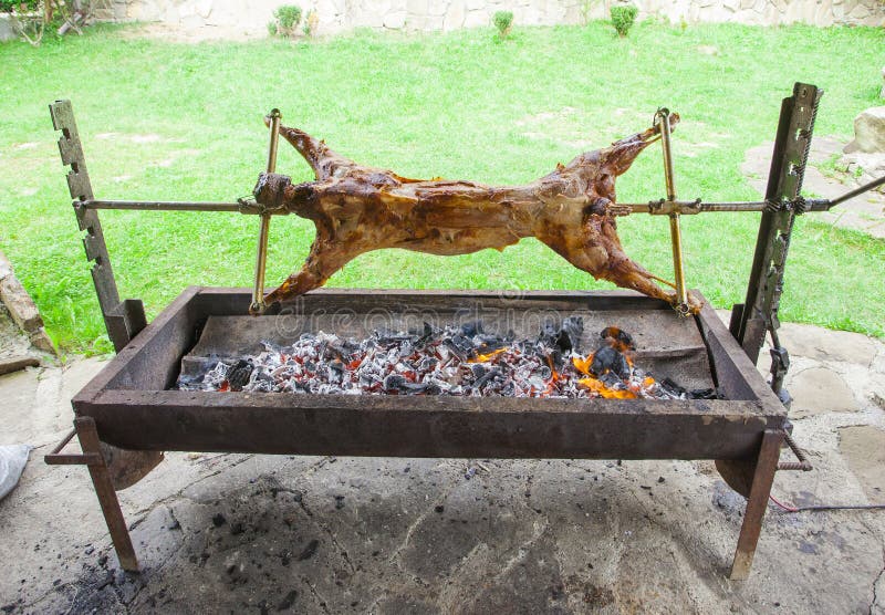 Ein Ganzes Lamm, Das Auf Einem Feuer Gebraten Wird Stockbild - Bild von ...