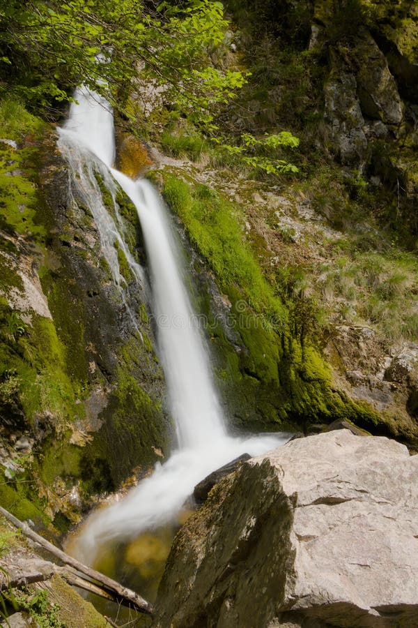 All Saints Waterfalls in the Black Forest Stock Photo - Image of ...