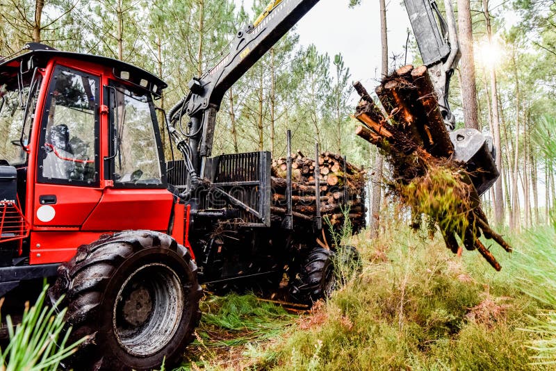 All-terrain Forestry Forwarder for Handling and Transporting Tree ...