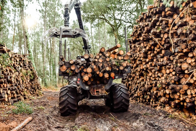All-terrain Forestry Forwarder for Handling and Transporting Tree ...