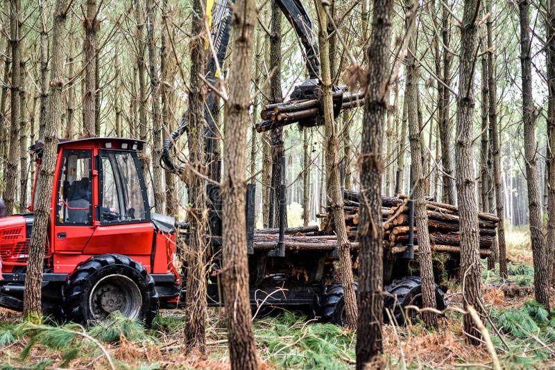 All-terrain Forestry Forwarder for Handling and Transporting Tree ...