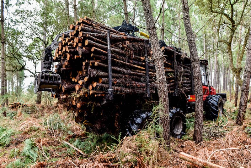 All-terrain Forestry Forwarder for Handling and Transporting Tree ...