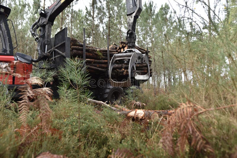 All-terrain Forestry Forwarder for Handling and Transporting Tree ...