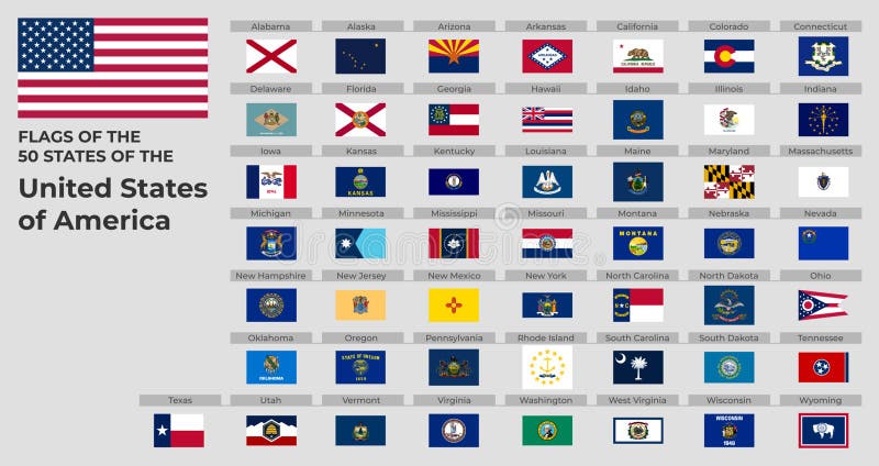 All 50 U.S. State Flags Vector Format Stock Vector - Illustration of ...
