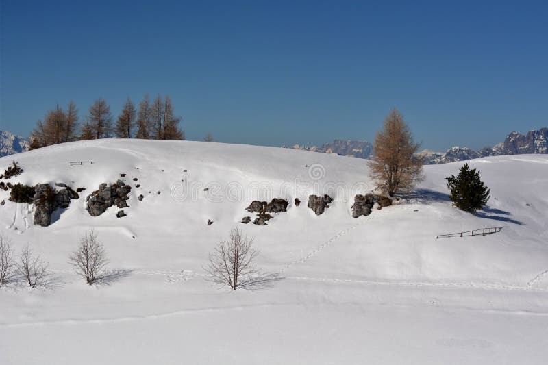 The First Snowfall on the Mountains Stock Photo - Image of aspen, long ...