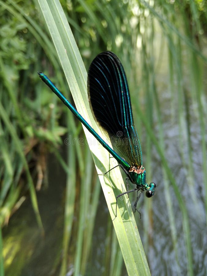 Allah Created Nature in Such a Way that There are Not Even Words To ...