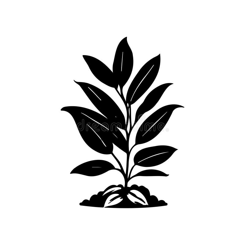 Allamanda Icon Hand Draw Black Plant Logo Symbol Perfect Stock Vector ...