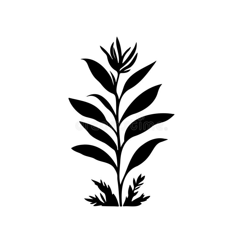 Allamanda Icon Hand Draw Black Plant Logo Symbol Perfect Stock Vector ...