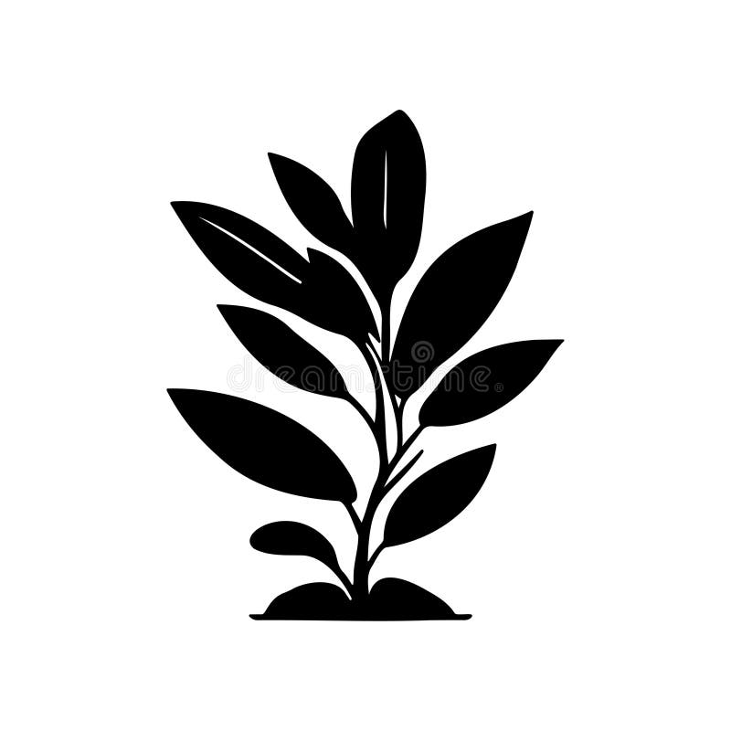 Allamanda Icon Hand Draw Black Plant Logo Symbol Perfect Stock Vector ...