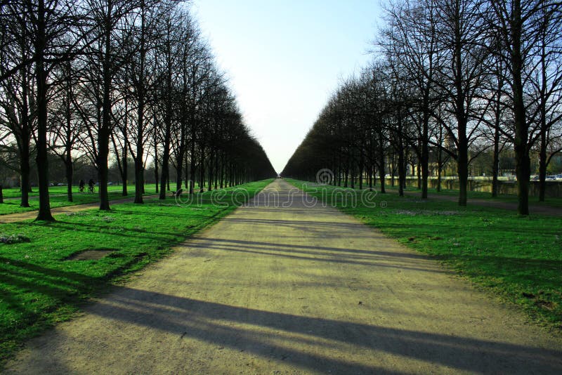 Allee stock photo. Image of avenues, tree, perspective - 4732176