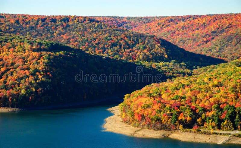 Allegheny National Forest stock photo. Image of forest - 68626740