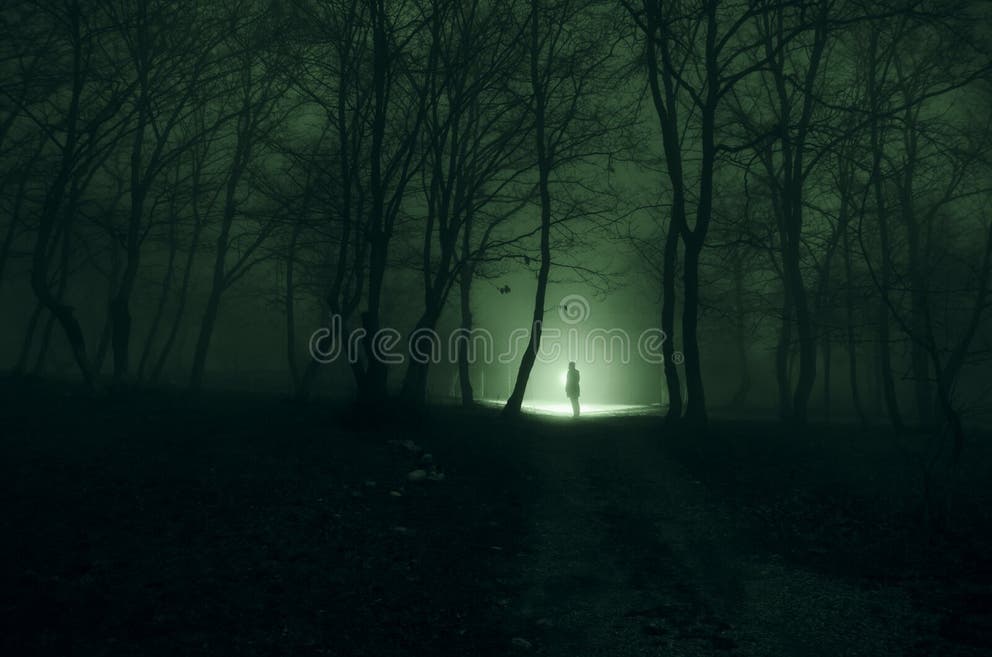 Ein Einzelnes Mädchen Mit Licht Im Wald in Der Nacht, Oder in Blautönen ...