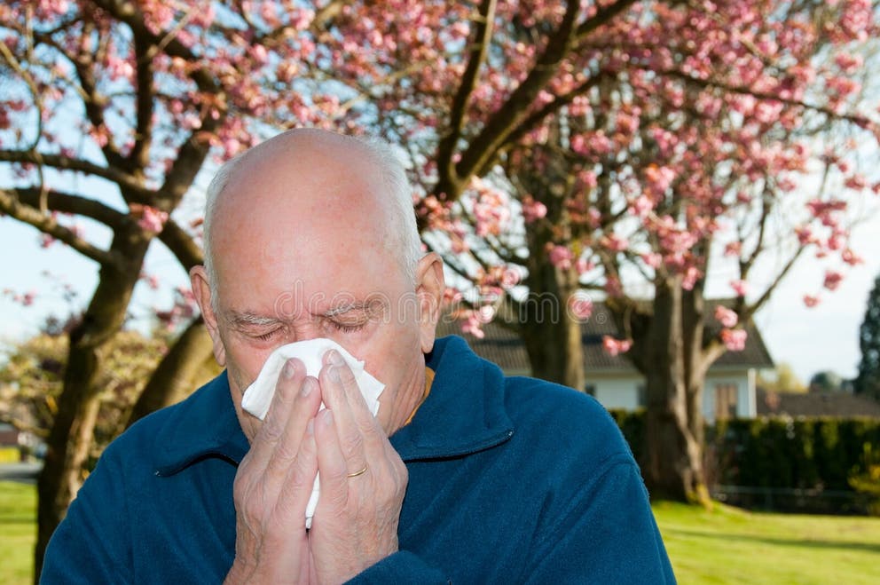 Allergier arkivfoto. Bild av blommor, krämpor, fält, influensa - 19384328