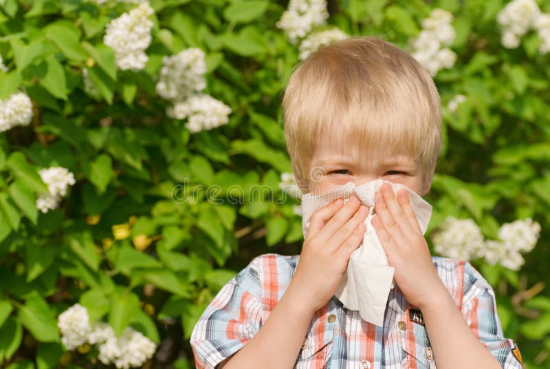 Allergy Season stock image. Image of looking, medicine - 26557939