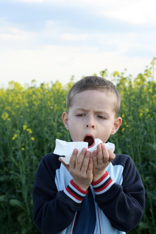 Allergy stock image. Image of countryside, cold, nature - 5079981