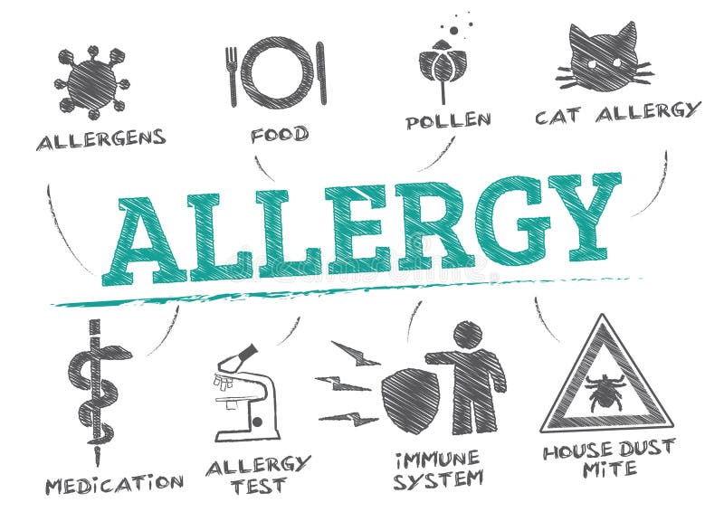 Types of Allergies Infographics Design Illustration. Animal Hair, Latex ...