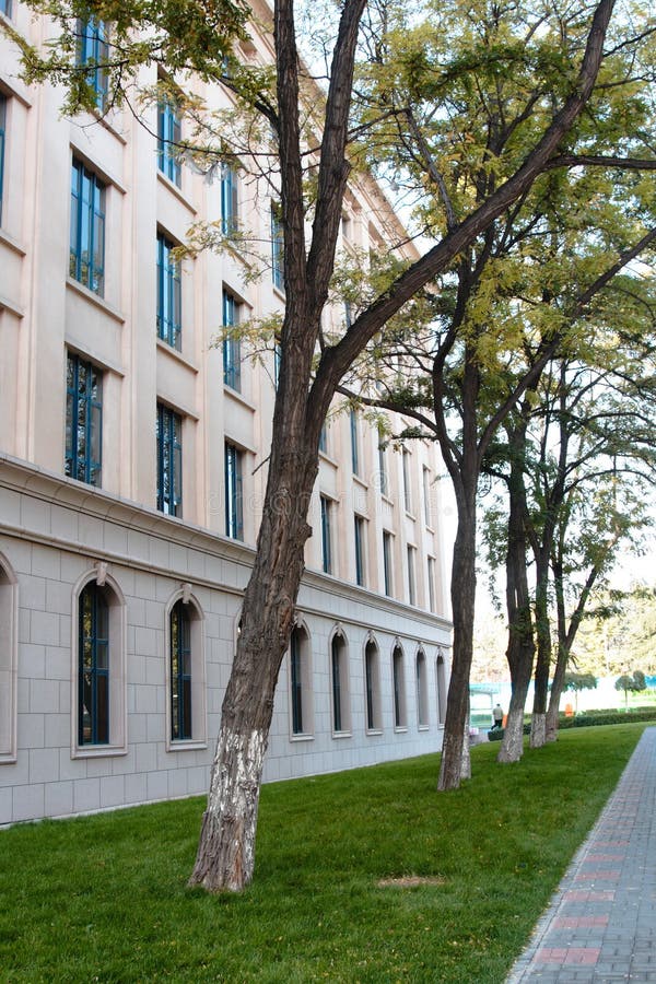 Alley along a building stock image. Image of garden, grass - 11836207