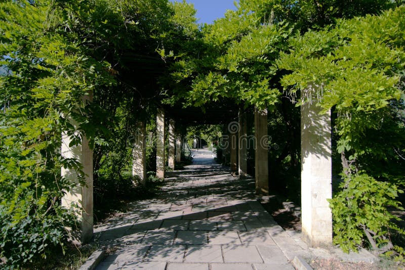 An Alley with an Arch of Tree Branches Stock Photo - Image of ...