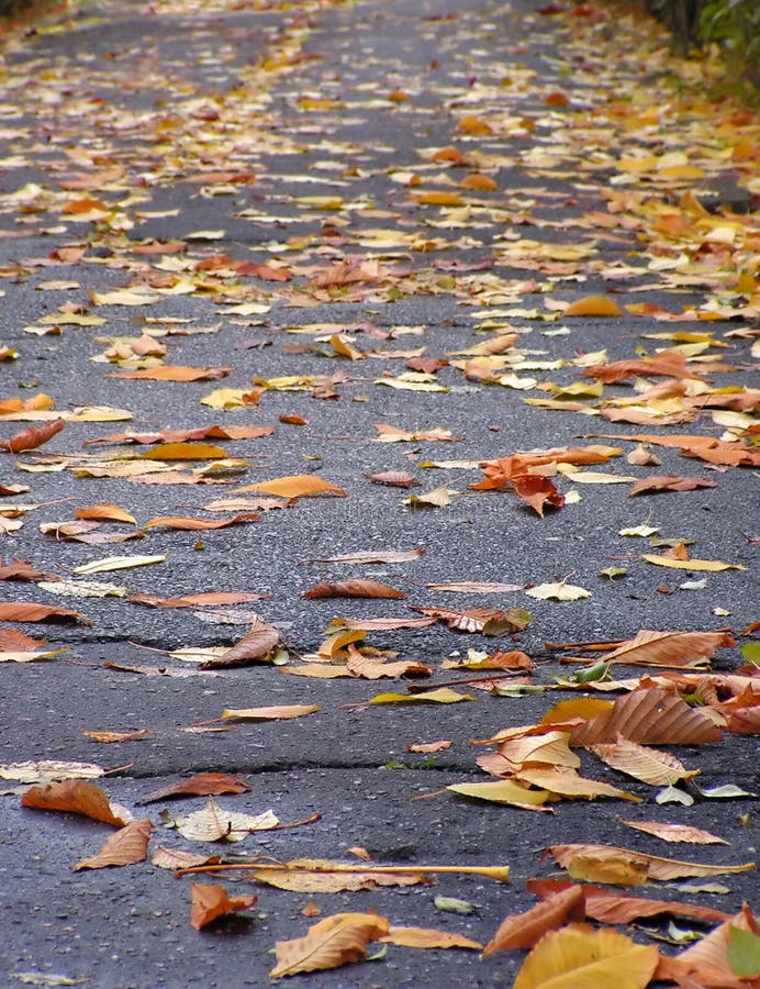 Alley Background Picture. Image: 481029