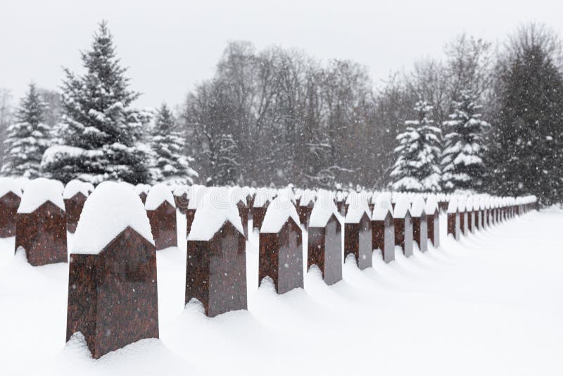 Alley in the Cemetery Covered with Snow in Winter Stock Photo - Image ...
