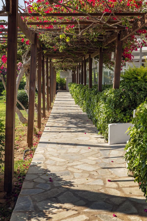 Alley Decorated with Beautiful Pink Flowers. Vertical Stock Image ...