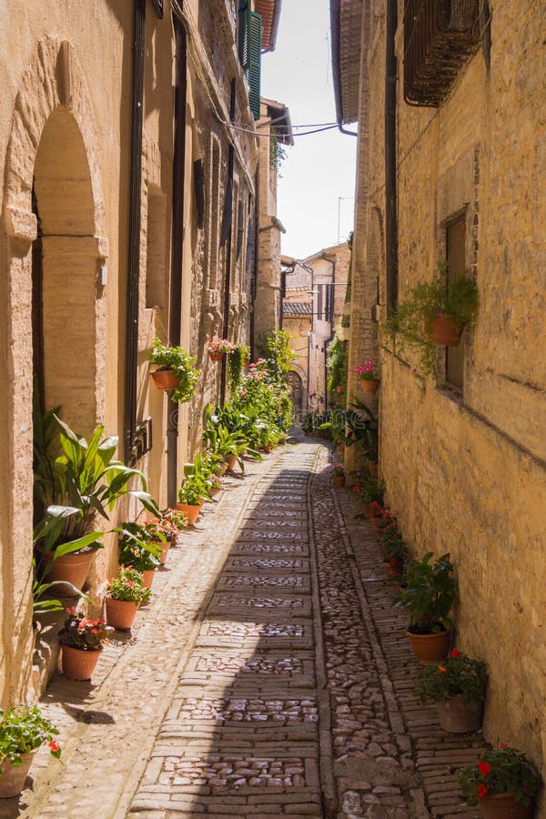 Alley with flower vases stock photo. Image of village - 32035372