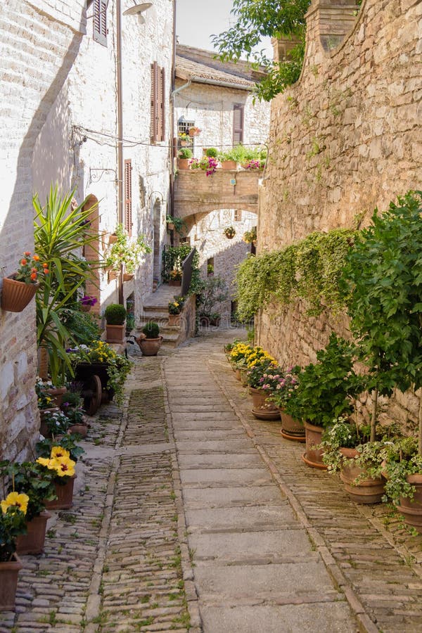 Alley with flower vases stock photo. Image of flowers - 32036090