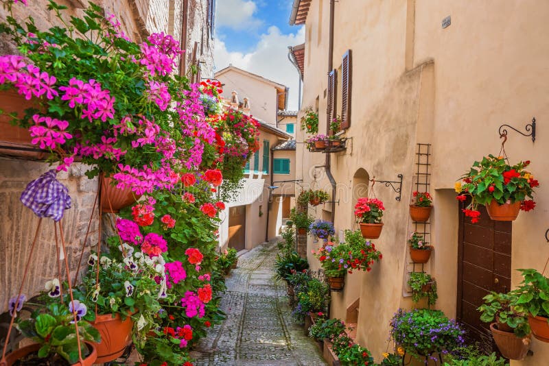 Alley with flowers stock photo. Image of village, home - 42677964