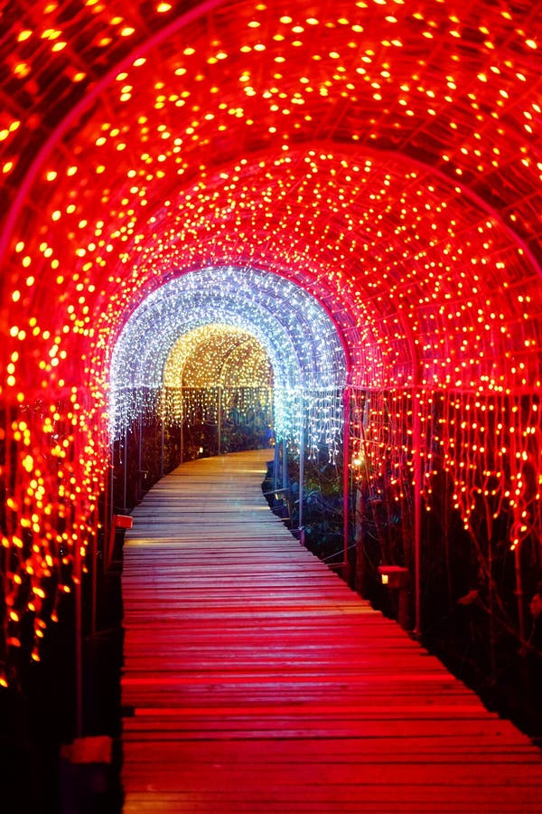Alley Full of Lights at Night by the Beach Stock Image - Image of ...