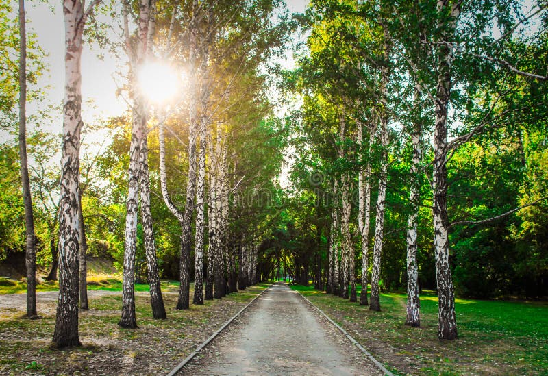 Alley stock image. Image of landscape, building, like - 86647571