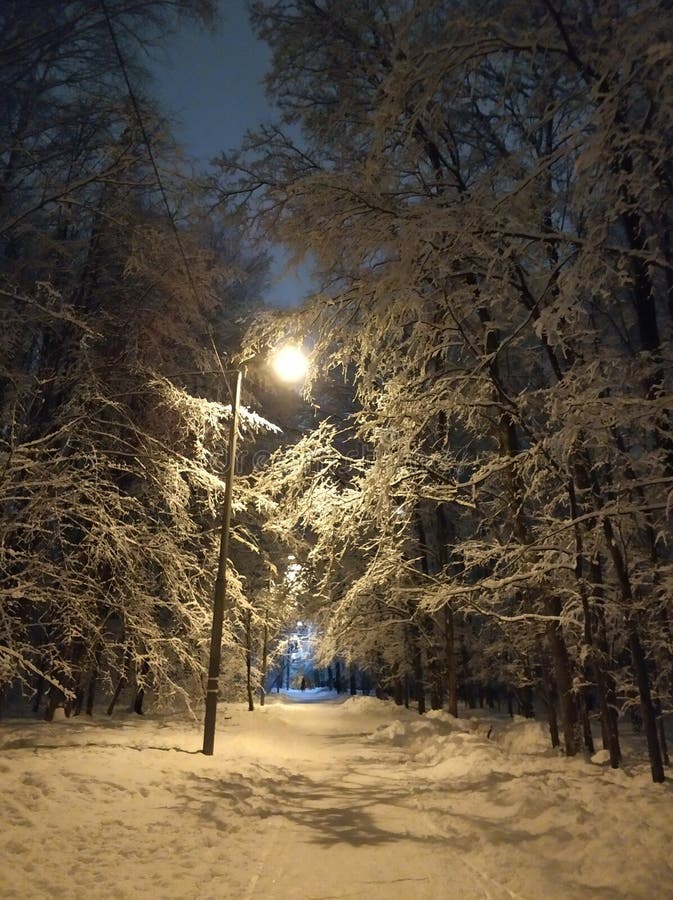 Evening in the park stock image. Image of lantern, seasons - 203809293