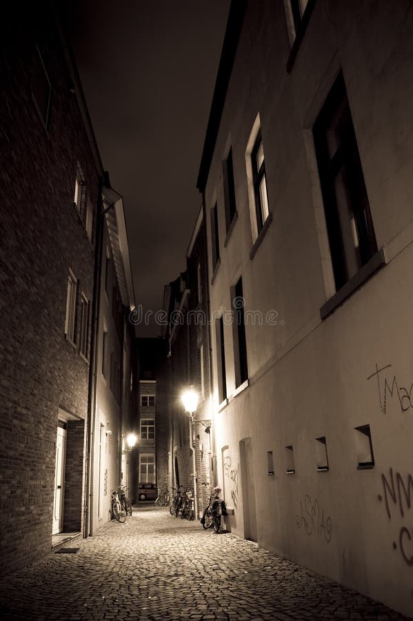 Oak alley stock image. Image of rural, leaf, landscape - 21774851