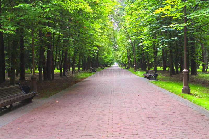 Alley in the old park stock image. Image of pavement - 26223073