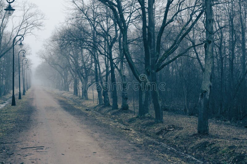 Alley in old park stock image. Image of autumn, park - 28505983