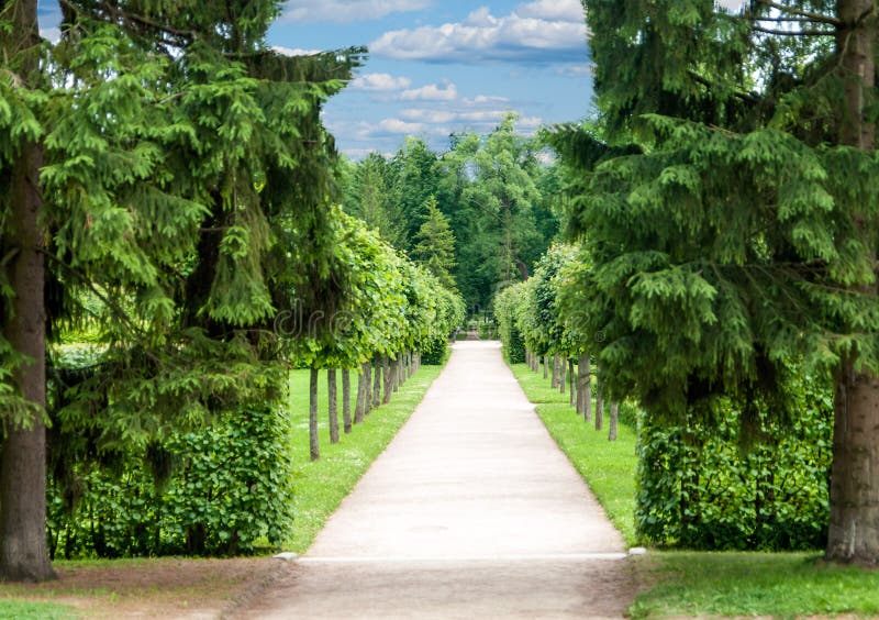 Alley in the Park stock image. Image of landscape, plant - 36140265