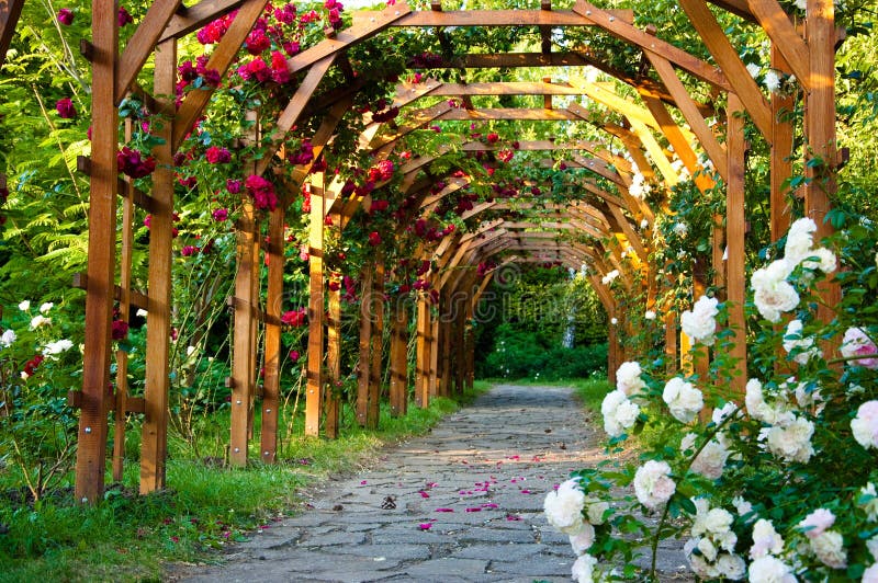 Alley with Flowers Pots in Spello, Umbria, Italy Stock Image - Image of ...