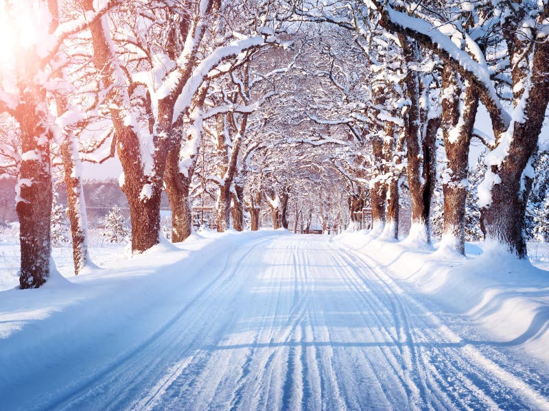 Alley in snowy morning stock image. Image of beautiful - 100784161