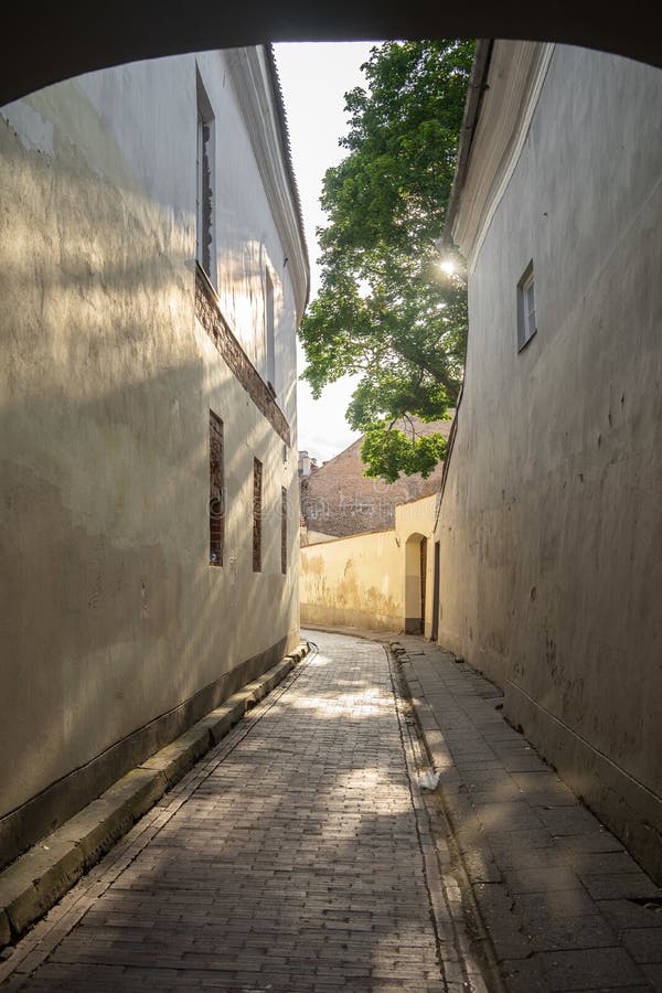 Alley Surrounded by Buildings and Greenery Under the Sunlight during ...