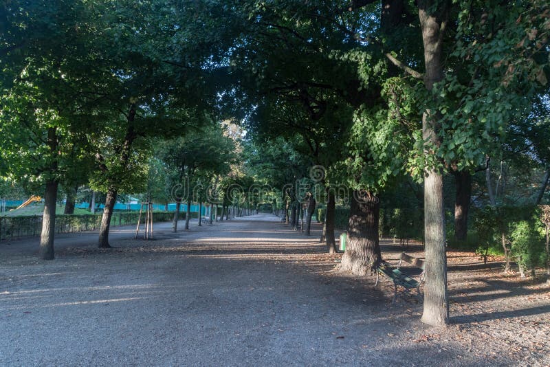 Alley with Trees in Augarten Park in Vienna, Austria Stock Photo ...