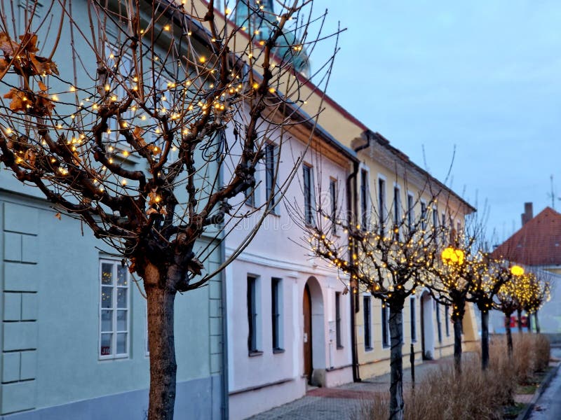 Alley of Trees with Small Crowns of Spherical Maples Illuminated at ...