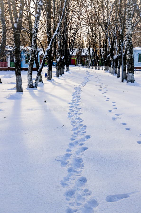 Alley in winter stock photo. Image of wood, outdoors - 84448888