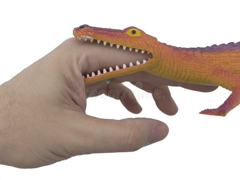 Alligator Finger stock image. Image of play, danger, alligator - 422469