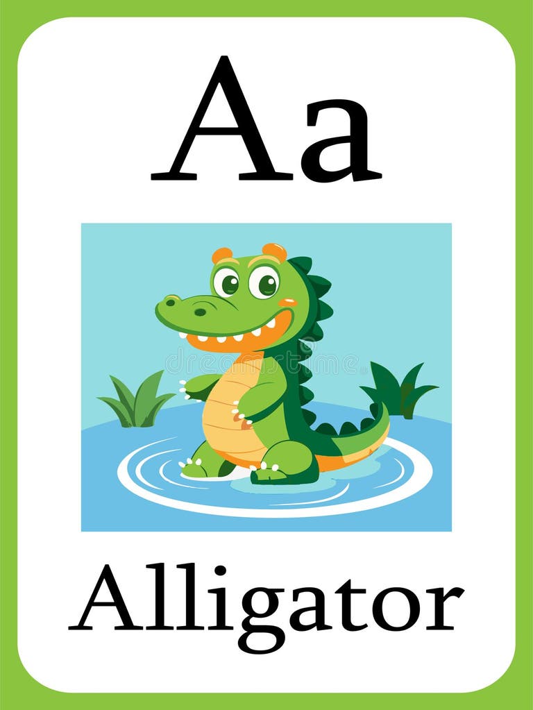 Alligator Flashcard Stock Illustrations – 160 Alligator Flashcard Stock ...
