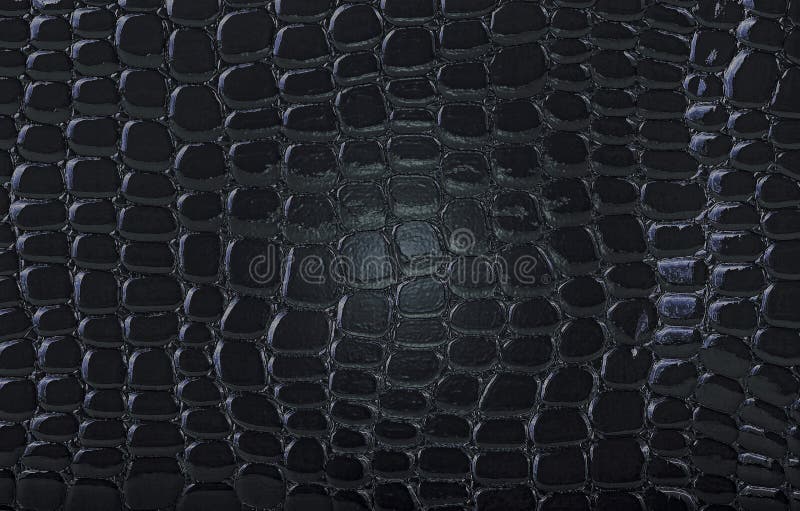 Alligator Leather Pattern for Background Stock Photo - Image of ...