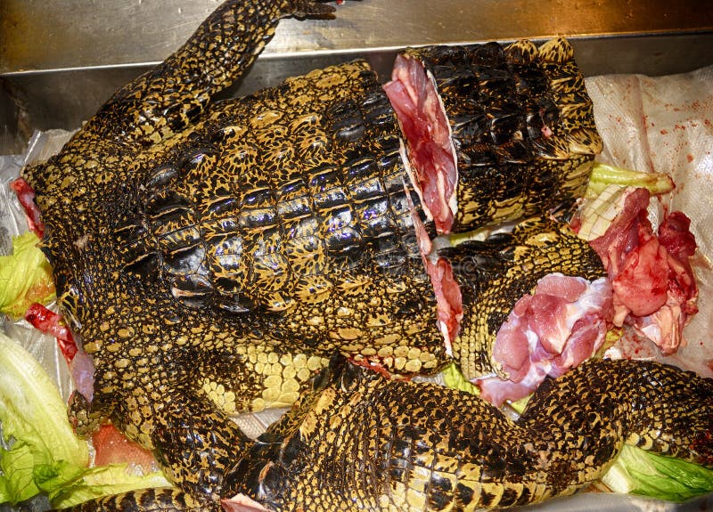 Alligator Meat, Guangzhou, China Stock Image - Image of asian, dining ...