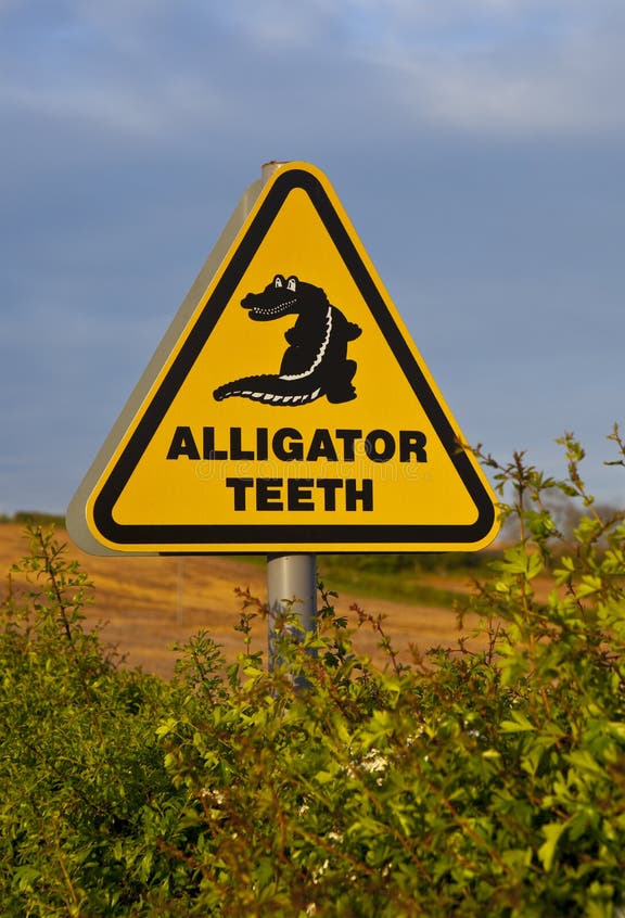 Alligator Sign stock image. Image of animal, creature - 9371717