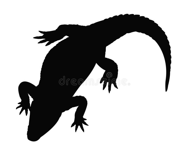 Alligator Silhouette Stock Illustrations – 2,478 Alligator Silhouette ...